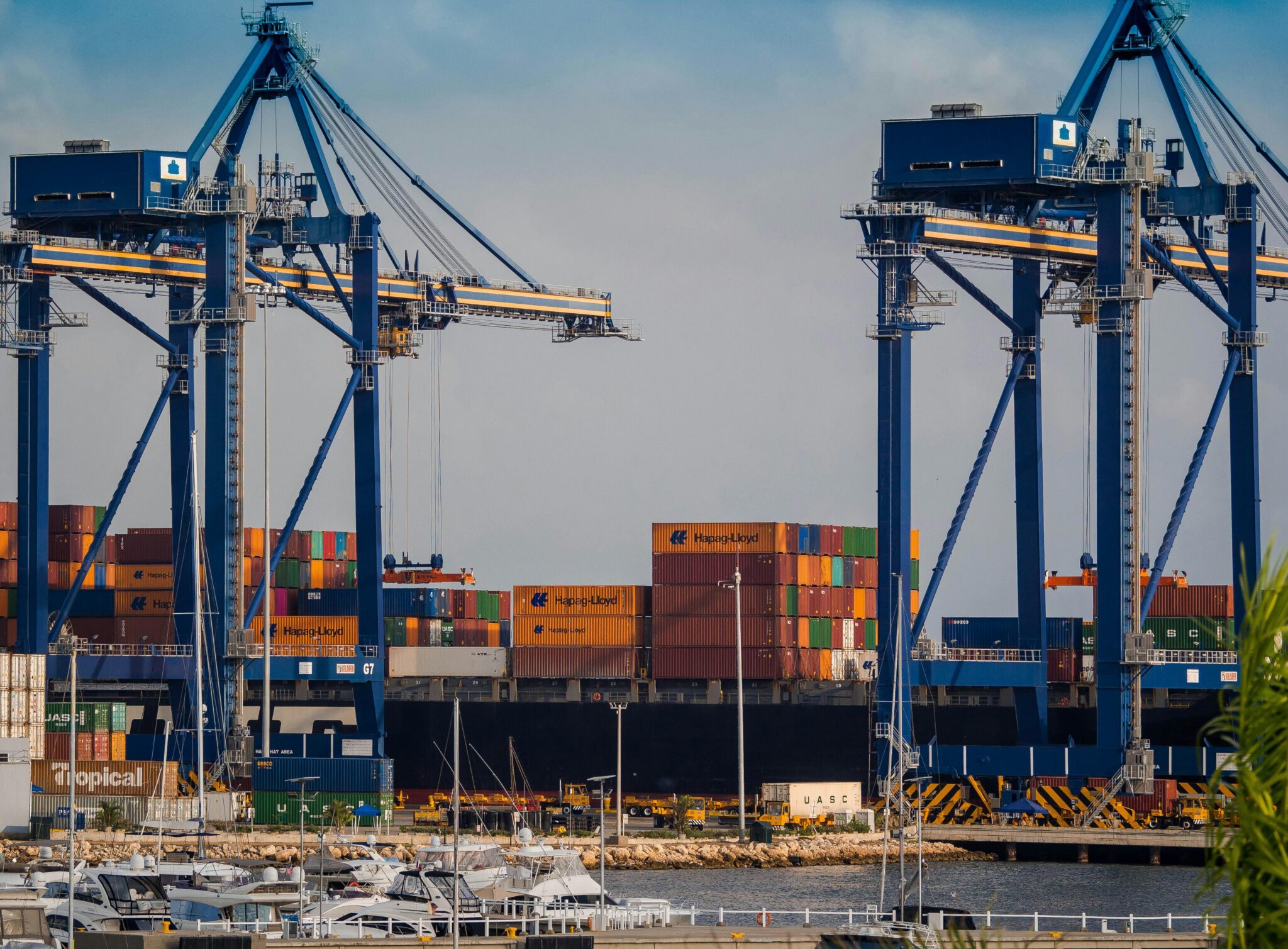 Complete Guide to Import Export Code (IEC) Registration in India ...